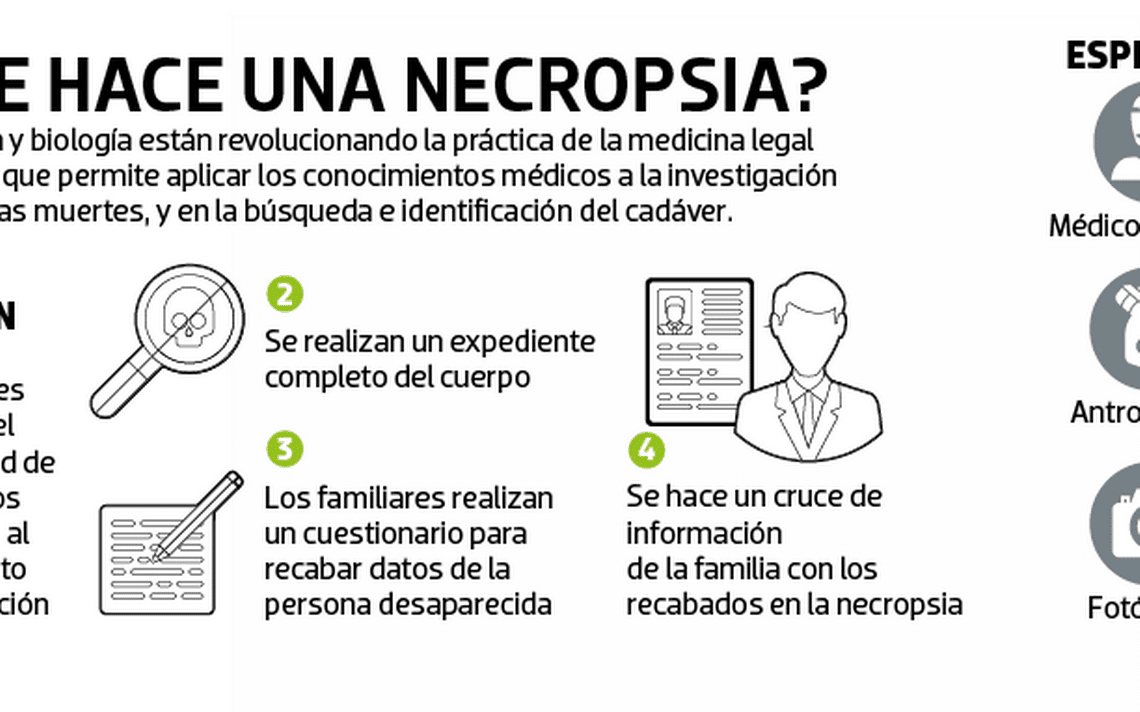 Cómo se inicia una necropsia